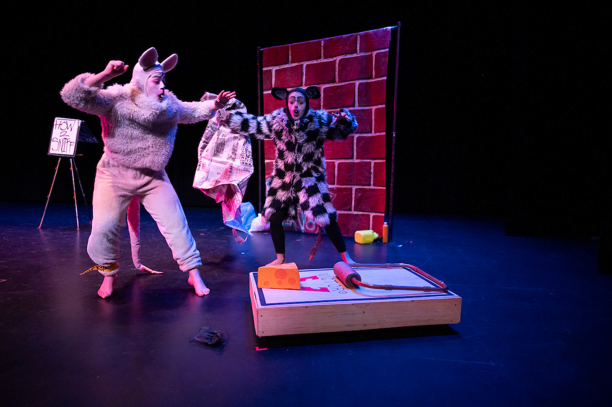 RAT ACADEMY – BATRABBIT COLLECTIVE